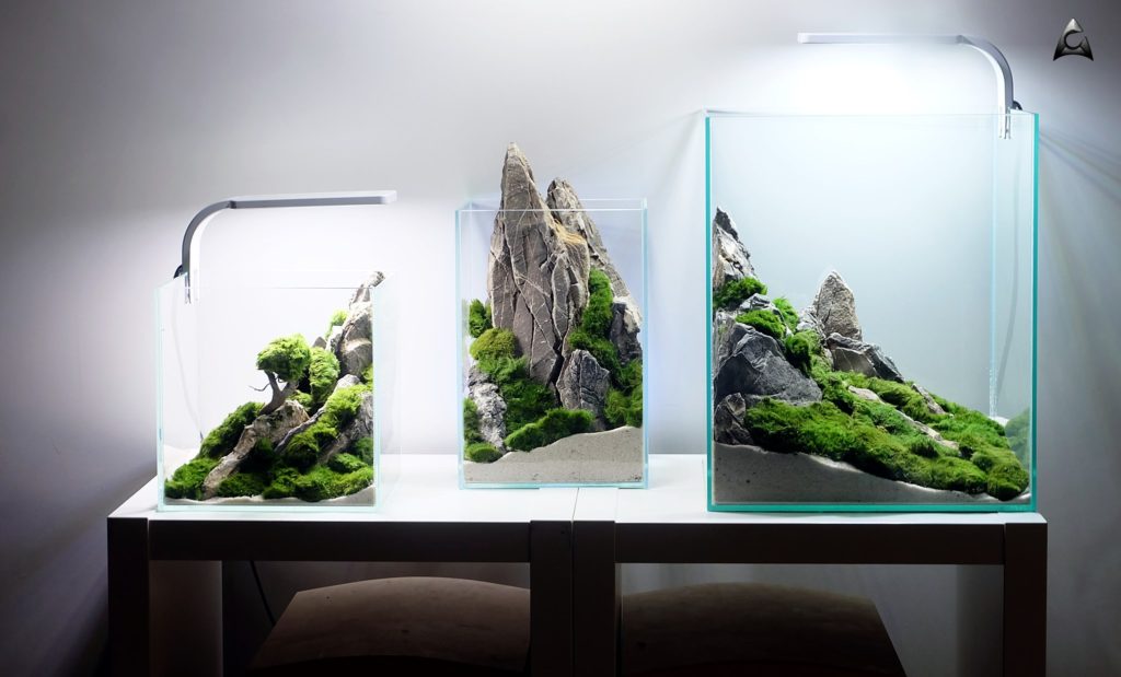 Nano aquarium - Aquaman Nature Studio